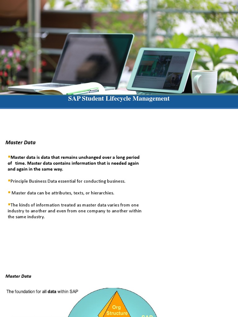 SAP SLCM Master Data Presentation | PDF