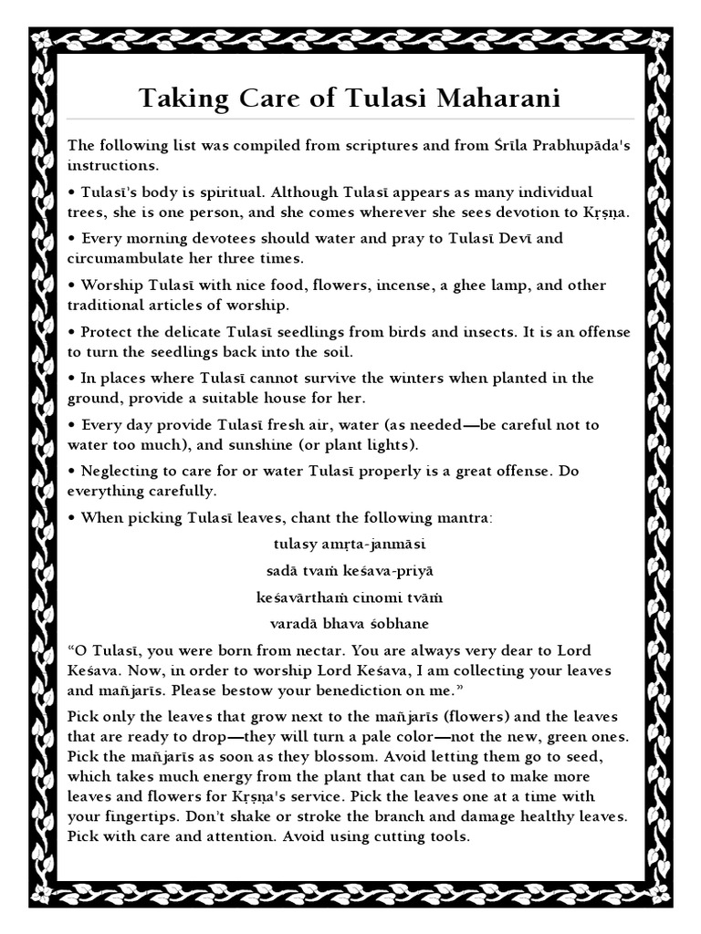 Glories of Tulasi Maharani | PDF | Trees | Nature