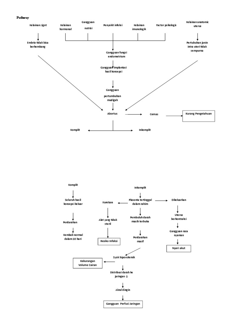Pathway Abortus | PDF