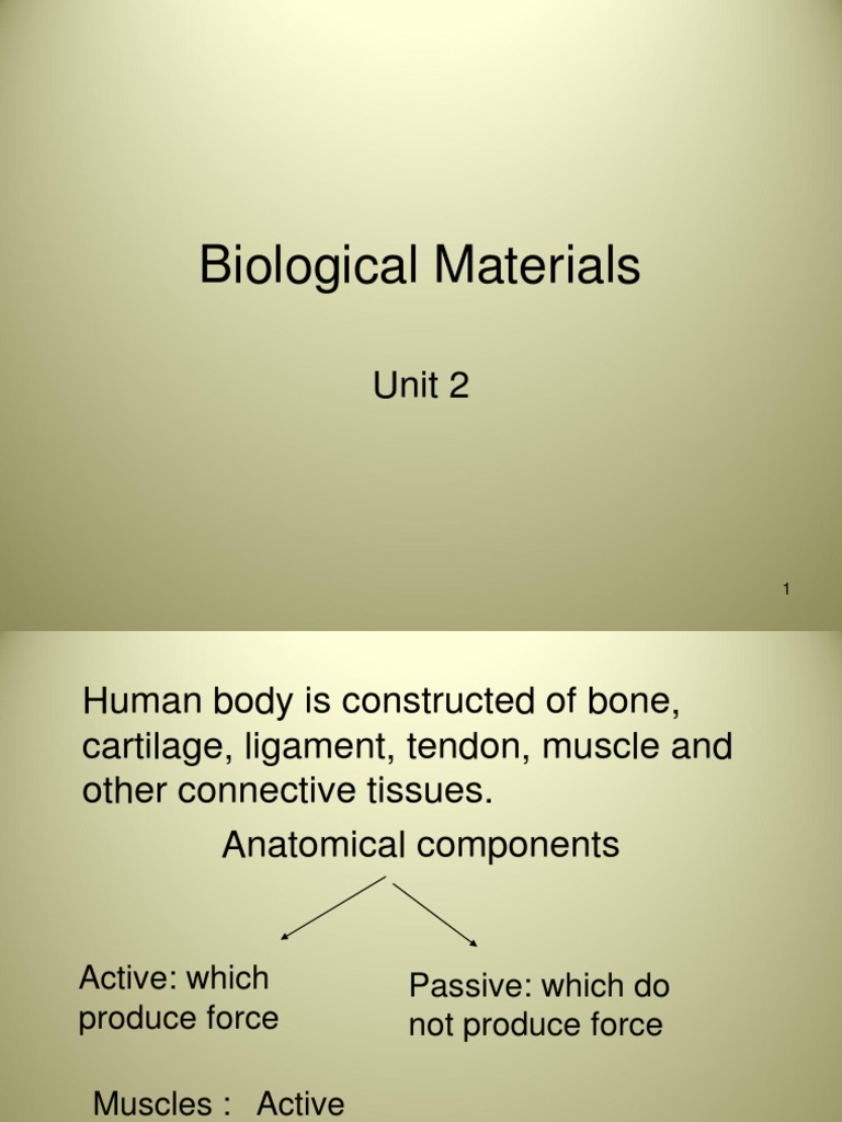 Overview of Human Bone Structure and Function | PDF | Bone | Knee