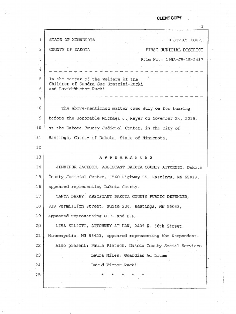 Judge Mayer Transcripts | PDF