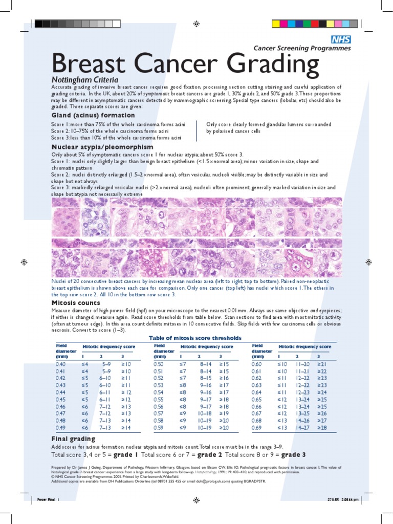 Breast Cancer Grading Poster | PDF | Cell Nucleus | Mitosis