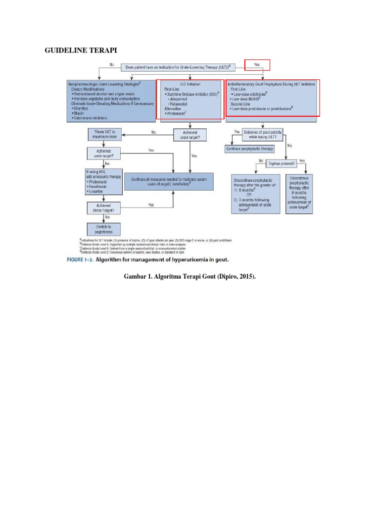 Guideline Terapi | PDF