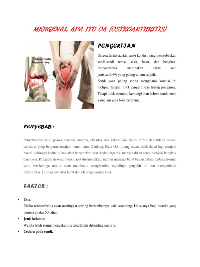 Mengenal Apa Itu Oa | PDF