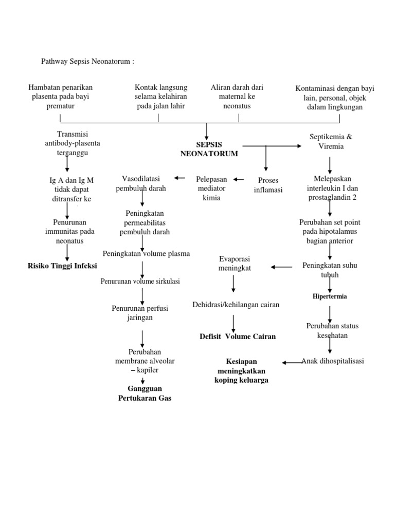 Pathway Sepsis Neonatorum