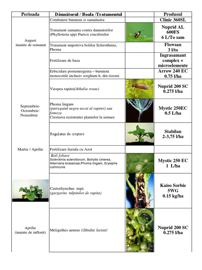 Schema Tratamente Rapita AAA | PDF