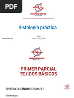 Condrogénesis y Crecimiento del Cartílago | PDF