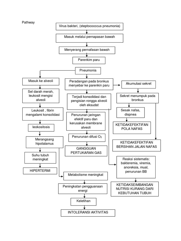Pathway Pneumonia pada Dewasa | PDF