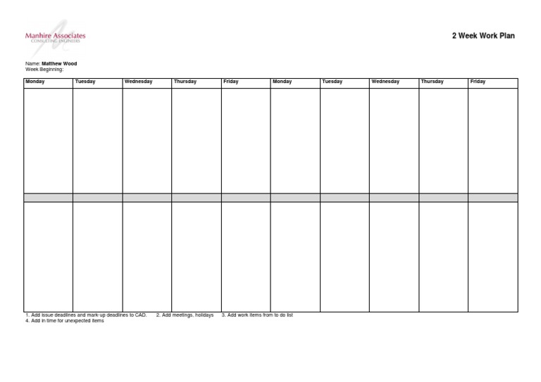 2-Week Work Plan for Matthew Wood | PDF