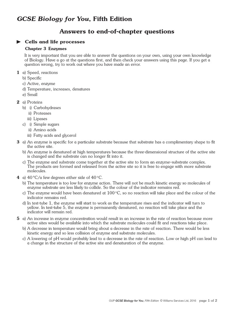 GCSE Bio For You Ch03 Ans | PDF | Active Site | Enzyme