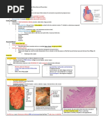MOINA Upper Extremities (NETTER) PDF | PDF