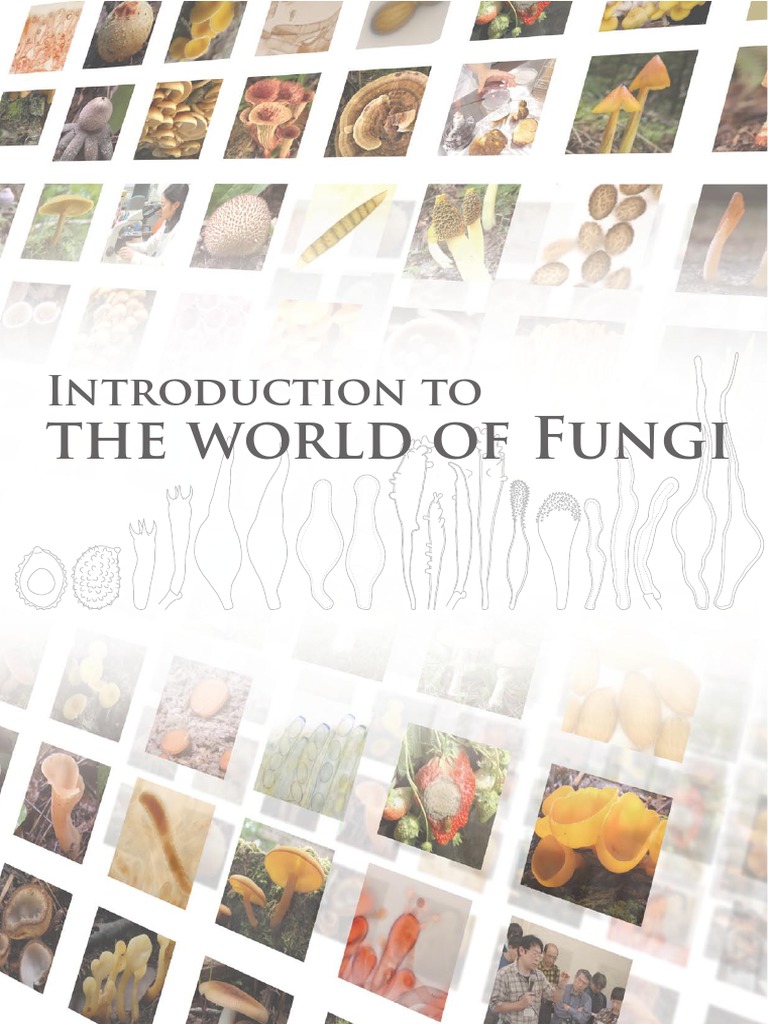 Introduction To The World | PDF | Mushroom | Fungus