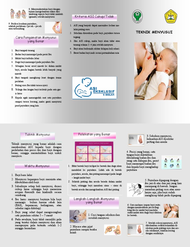 Leaflet Teknik Menyusui | PDF
