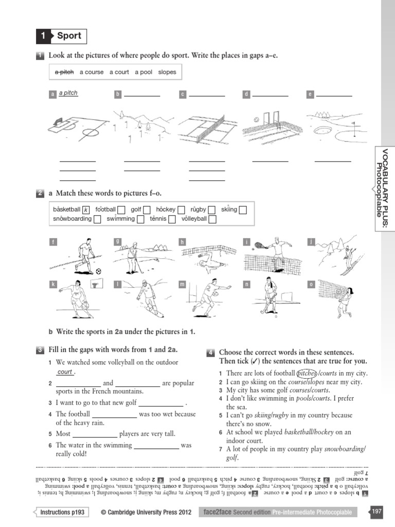 Sport | PDF | Ball Games | Hobbies