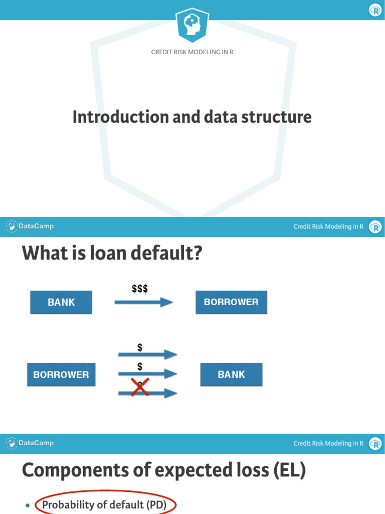 Credit Risk Modeling in R - ch1 - PDF | Download Free PDF | Applied ...