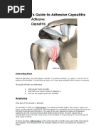 Alfredson Protocol - Achille's Tendonitis | PDF | Pain | Clinical Medicine