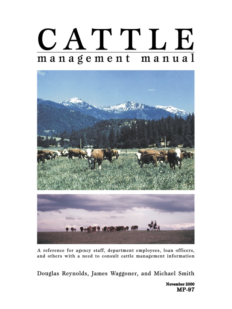 Cattle Management Practices Manual | PDF | Calf | Cattle