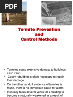 Method Statement For Anti-Termite | PDF | Personal Protective Equipment | Foundation (Engineering)