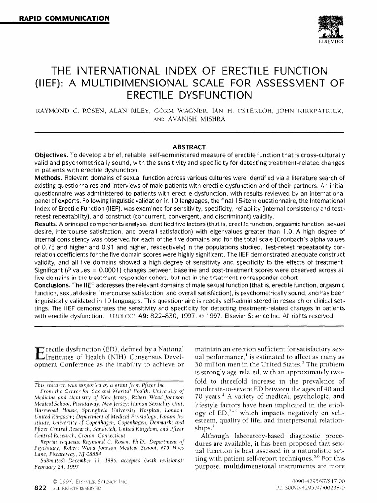 Iief 1997 PDF | PDF | Internal Consistency | Validity (Statistics)