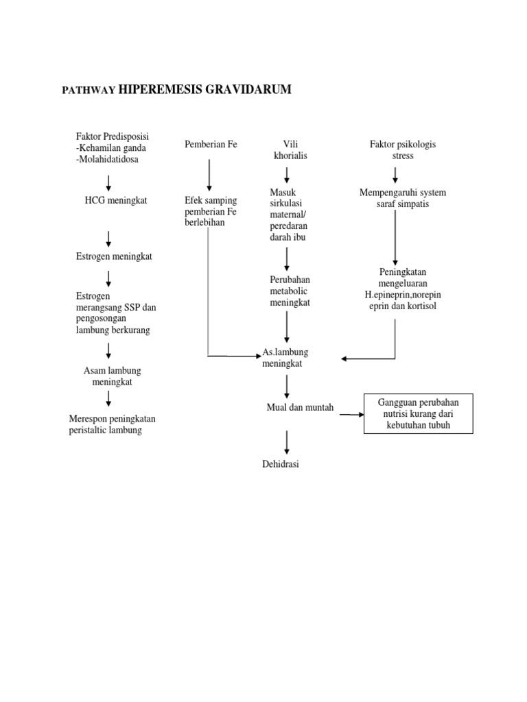 Pathway Hiperemesis Gravidarum | PDF