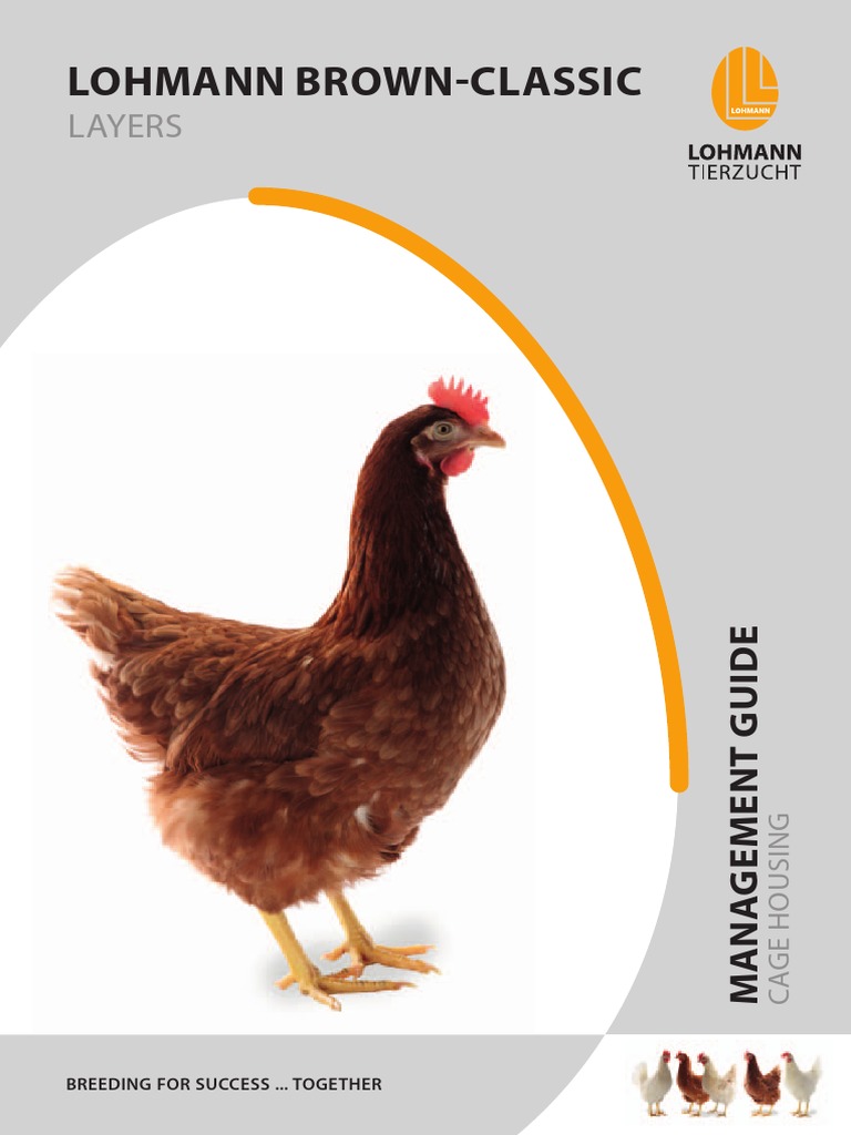Lohman Brown Classic Management Guide Eng PDF | PDF | Dietary Fiber ...