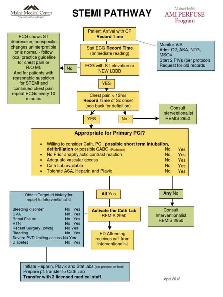 Stemi Pathway: Record Time | Download Free PDF | Myocardial Infarction ...