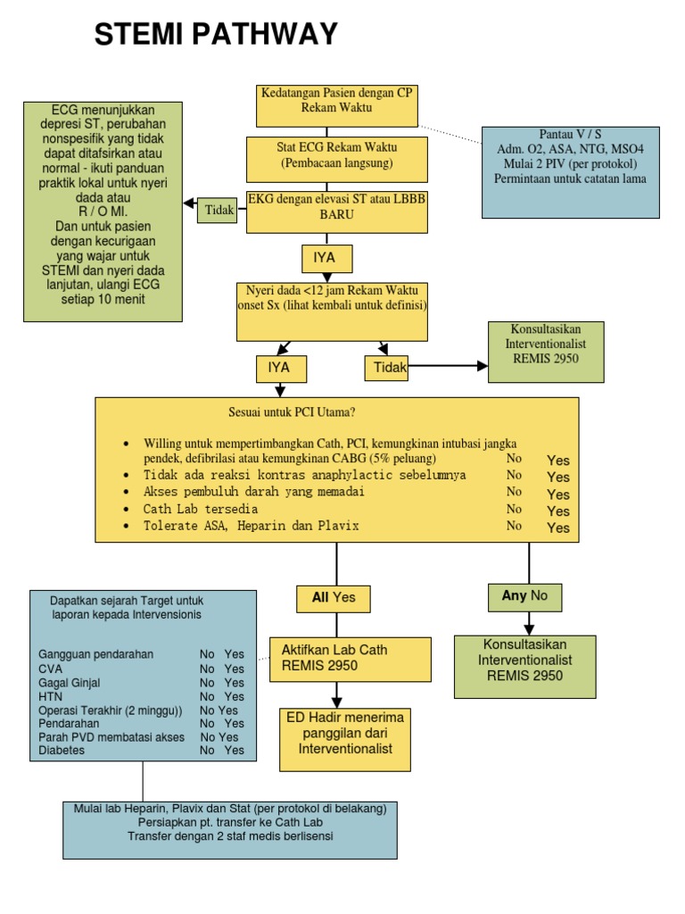 Woc STEMI | PDF