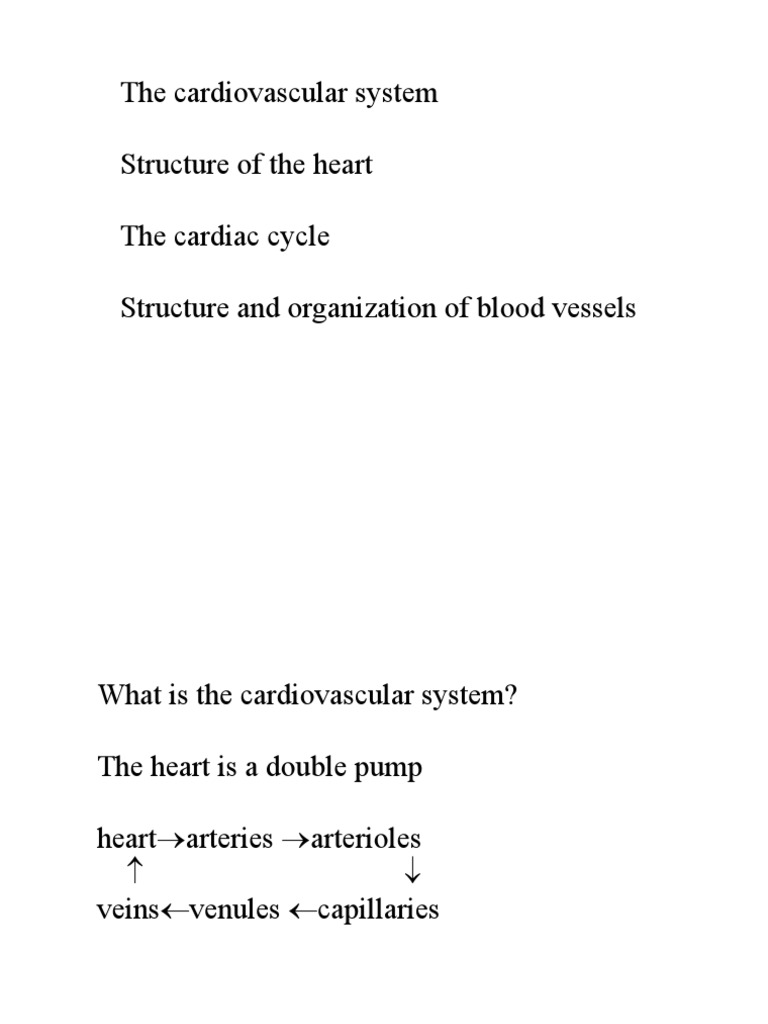 The Cardiovascular System Structure of The Heart The Cardiac Cycle ...