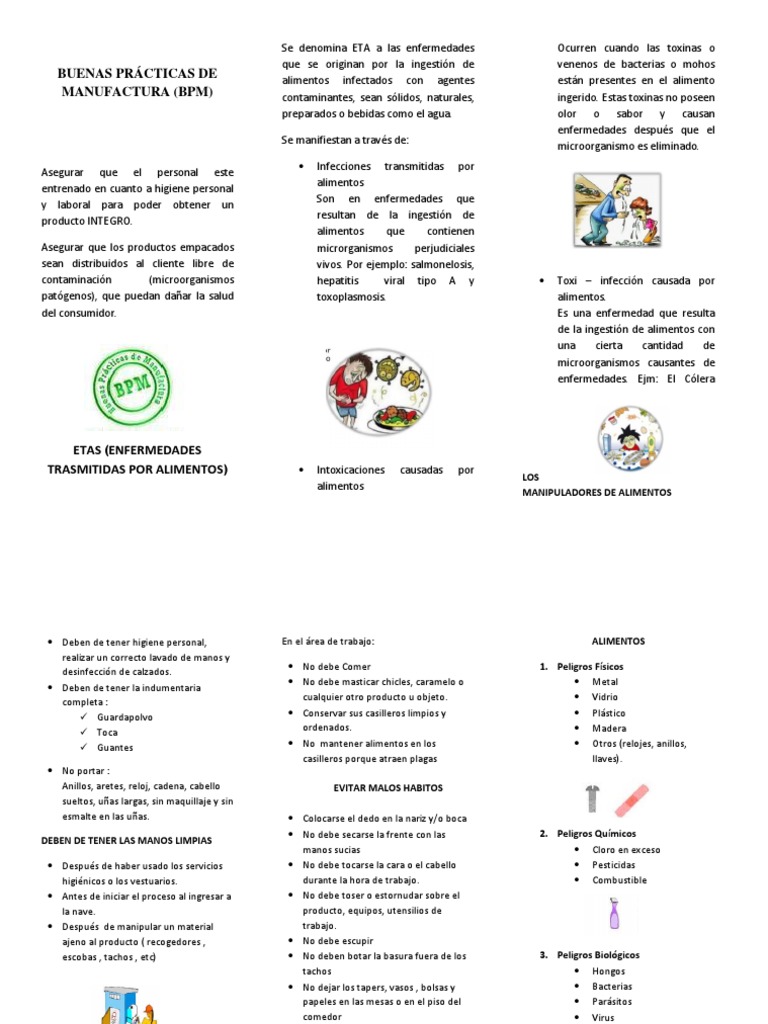 Triptico BPM | PDF | Infección | Alimentos