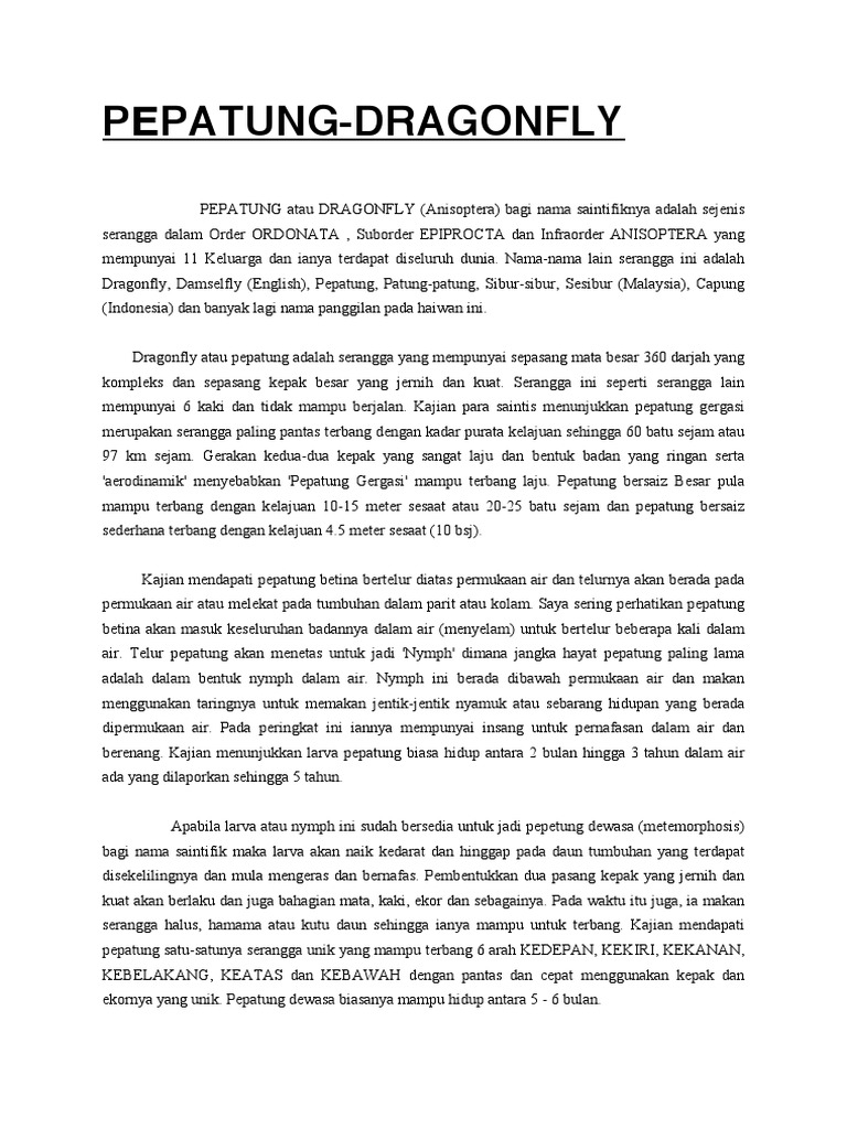 Pepatung 1 | PDF