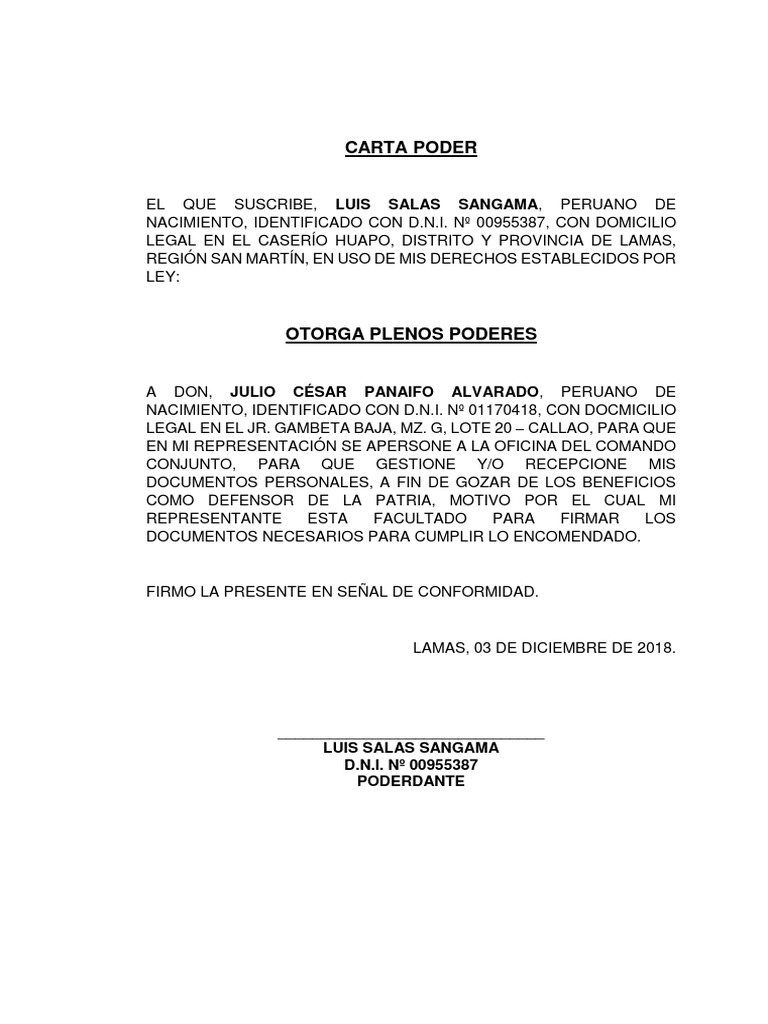 Carta poder para la gestión y recepción de documentos personales ante ...