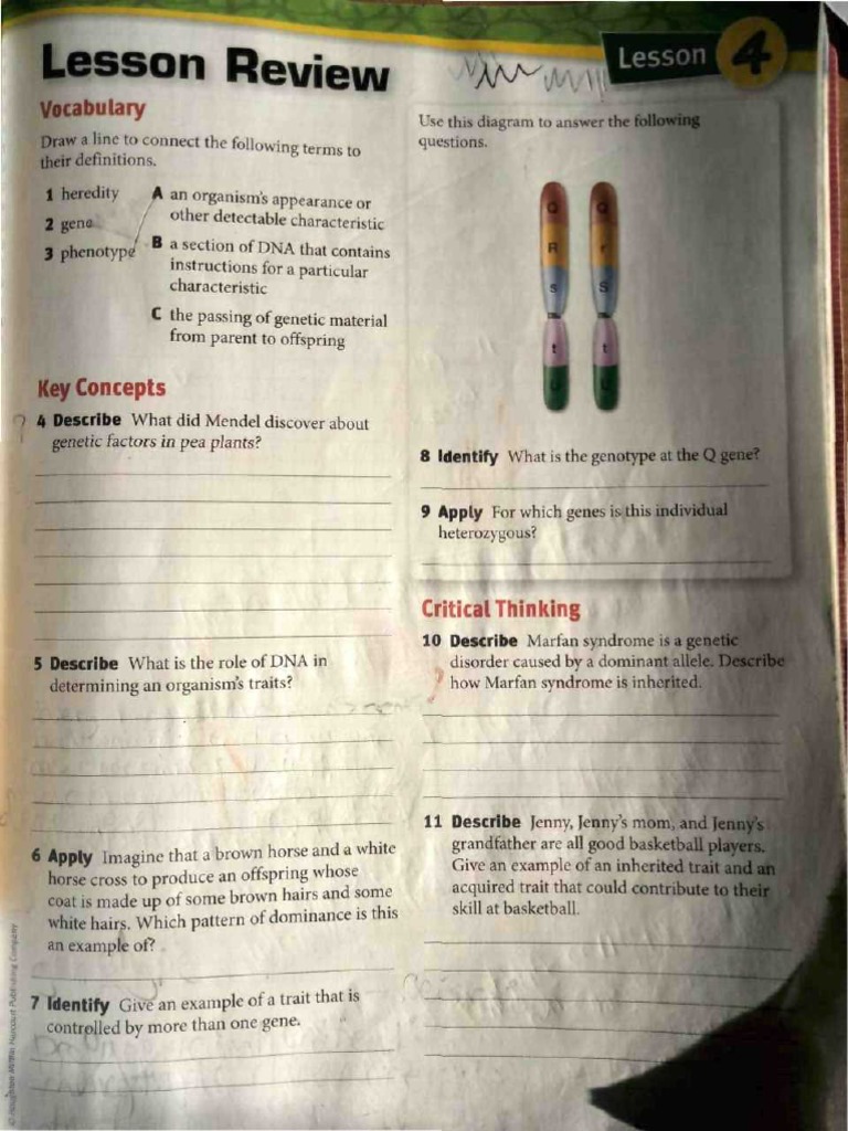 Cells and Heredity Quiz | PDF