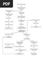 LP DEMAM TYPOID Baru | PDF