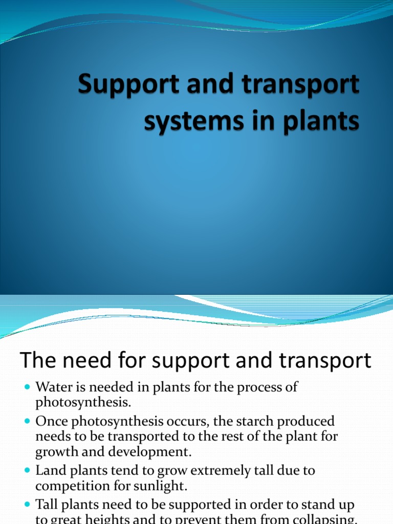 10 Support and Transport Systems in Plants | PDF | Plant Stem | Root