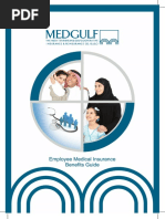 Daman Basic Health Insurance Guide | PDF | Health Care | Pharmaceutical ...
