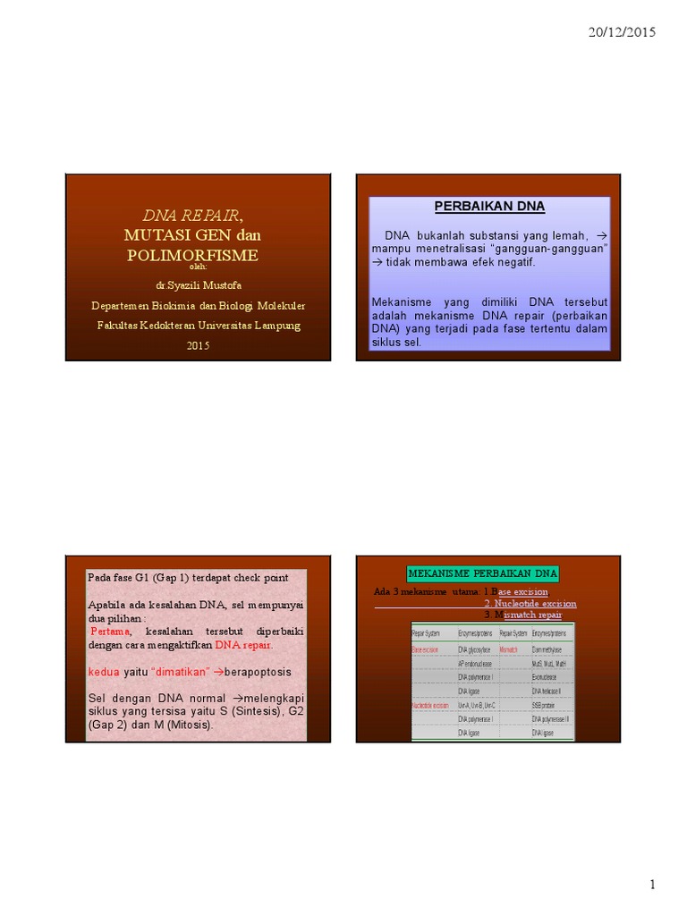 Mutasi Dna Repair Dan Polimorfisme Oleh DR Syazili Mustofa FK Unila PDF ...