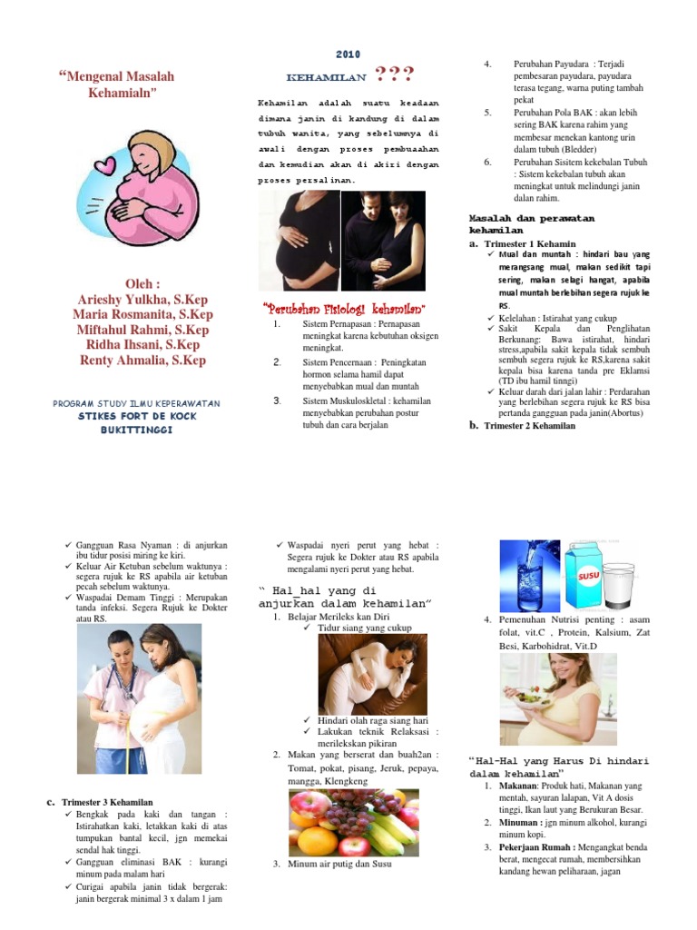 Leaflet Mengenal Masalah Kehamilan | PDF | Kesehatan Holistik