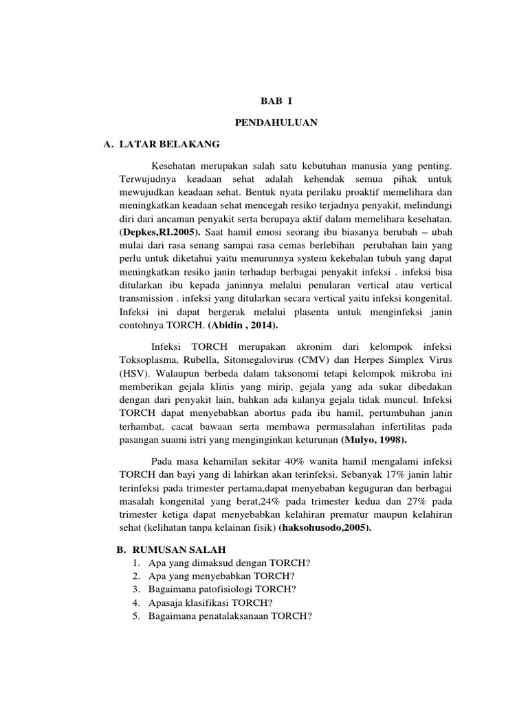 Askep Infeksi Torch | PDF