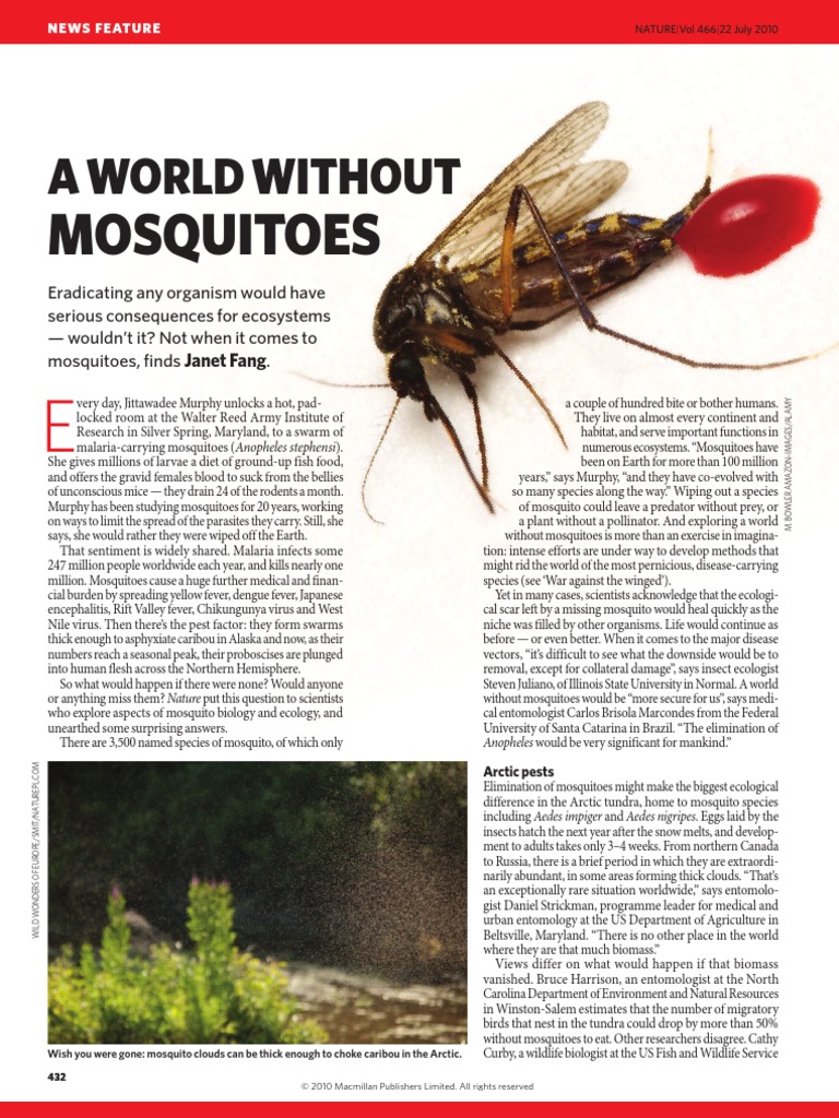 A World Without Mosquitoes | Mosquito | Malaria