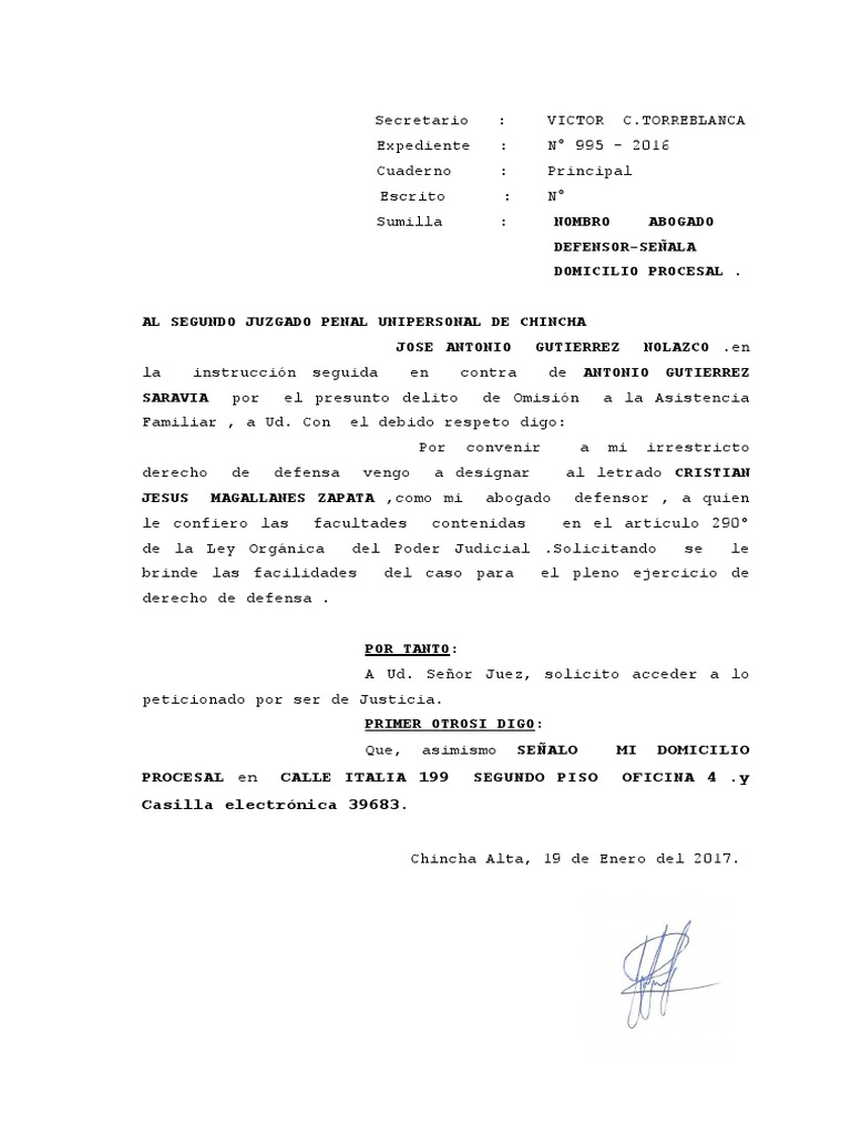 Designa Nuevo Abogado Defensor | PDF