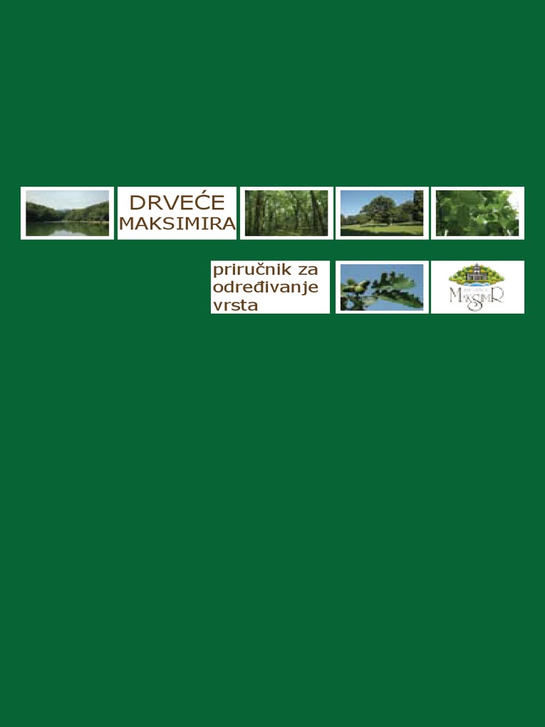 Drvece PDF | PDF