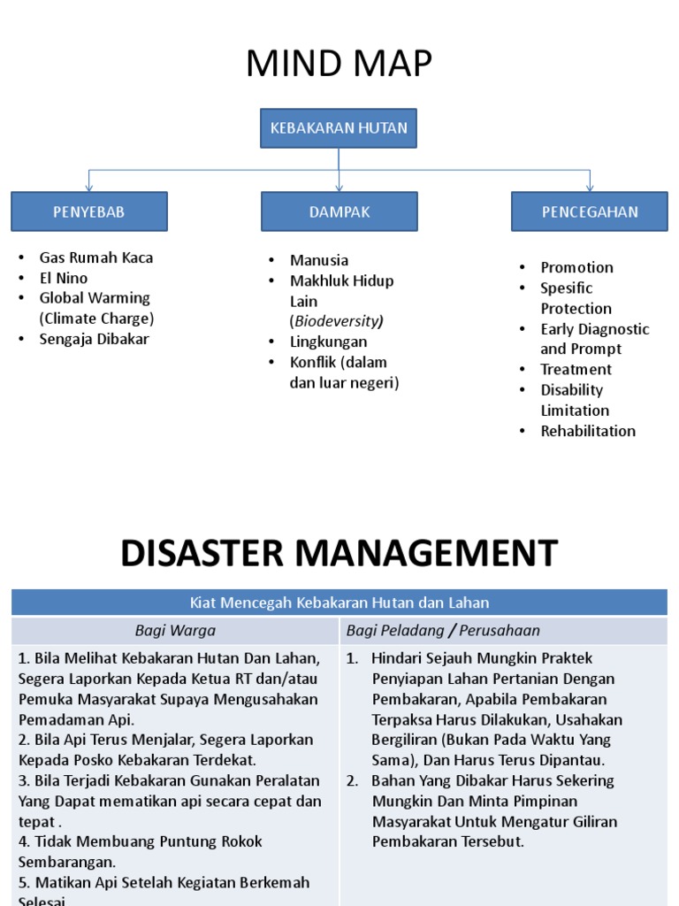 MIND MAP Dan Disaster Management | PDF | Kesehatan Holistik | Sains & Matematika