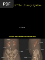 CT Urography: Techniques & Protocols | PDF | Ct Scan | Kidney