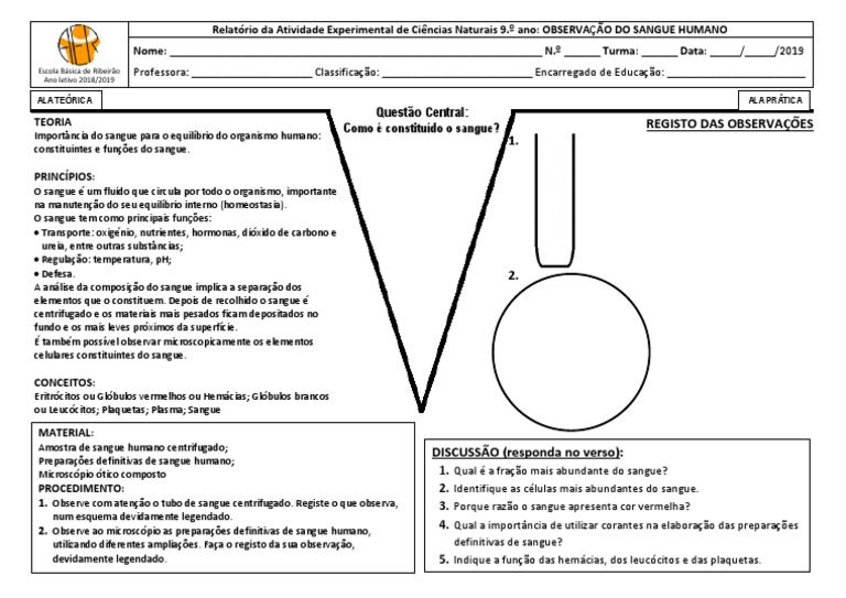 AP2 Observação Do Sangue Relatório VGowin | Download grátis PDF ...