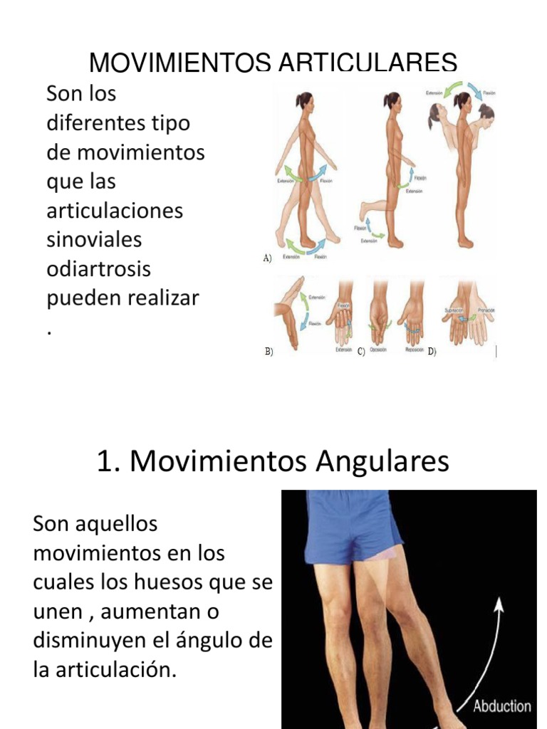 Movimientos Articulares | PDF | Articulación | Hombro