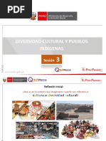 Mapa Conceptual Diversidad Cultural | PDF | Interculturalidad | Educacion Cultural