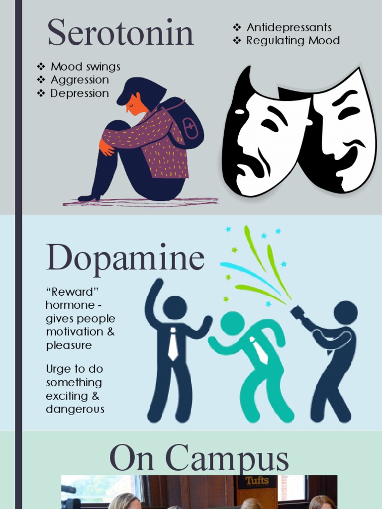 Research Project Presentation pt2 | PDF