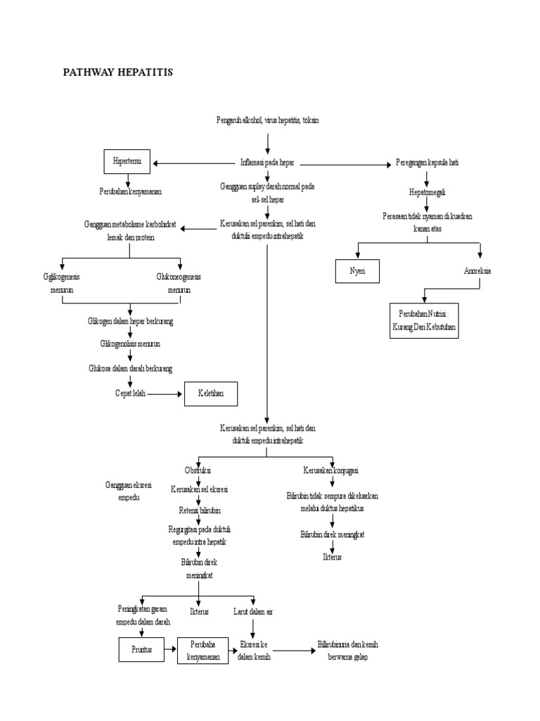 Pathway Hepatitis | PDF