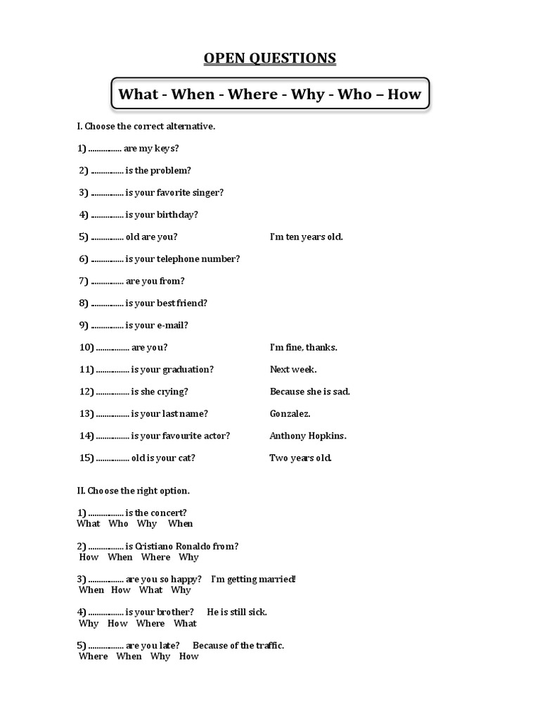 Open Questions What - When - Where - Why - Who - How | PDF