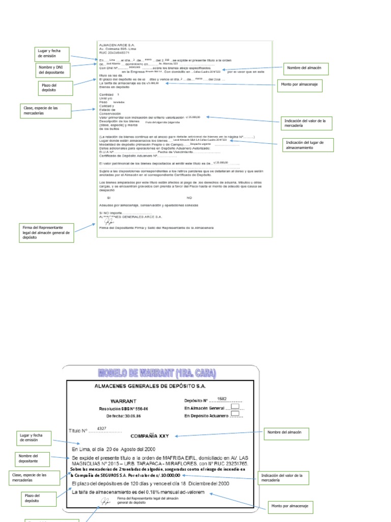 Modelo Certificado de Deposito y Warrant | PDF | Business | Naturaleza
